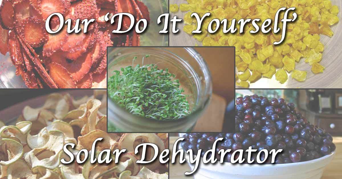 Our 'Do It Yourself' Solar Dehydrator - Sustainable Preparedness