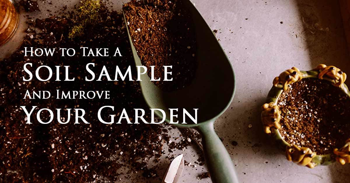How To Take a Soil Sample and Improve Your Garden - Sustainable ...