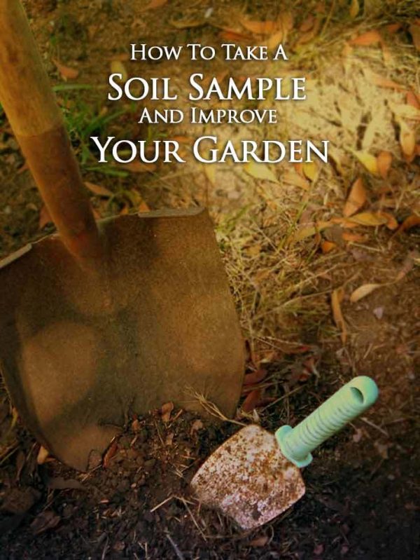 How To Take a Soil Sample and Improve Your Garden - Sustainable ...
