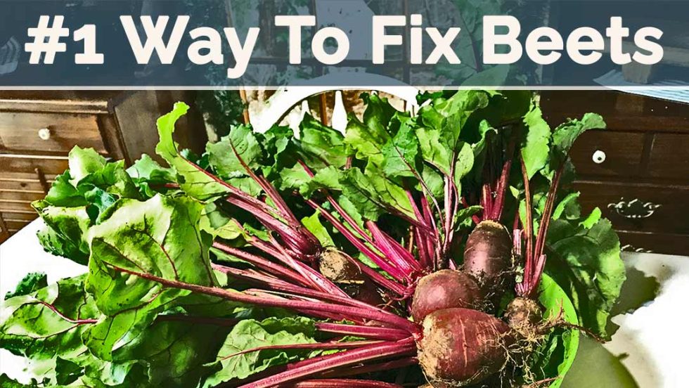 My #1 Favorite Way To Fix Fresh Beets From The Garden - Sustainable ...